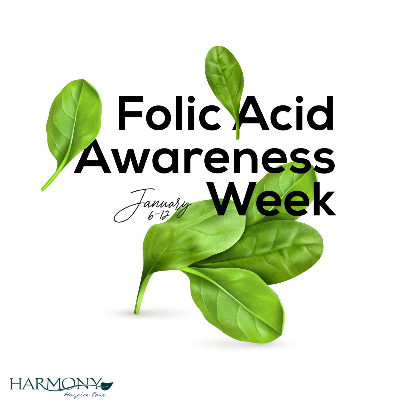 Folic Acid Awareness Week – Harmony Hospice Ohio
